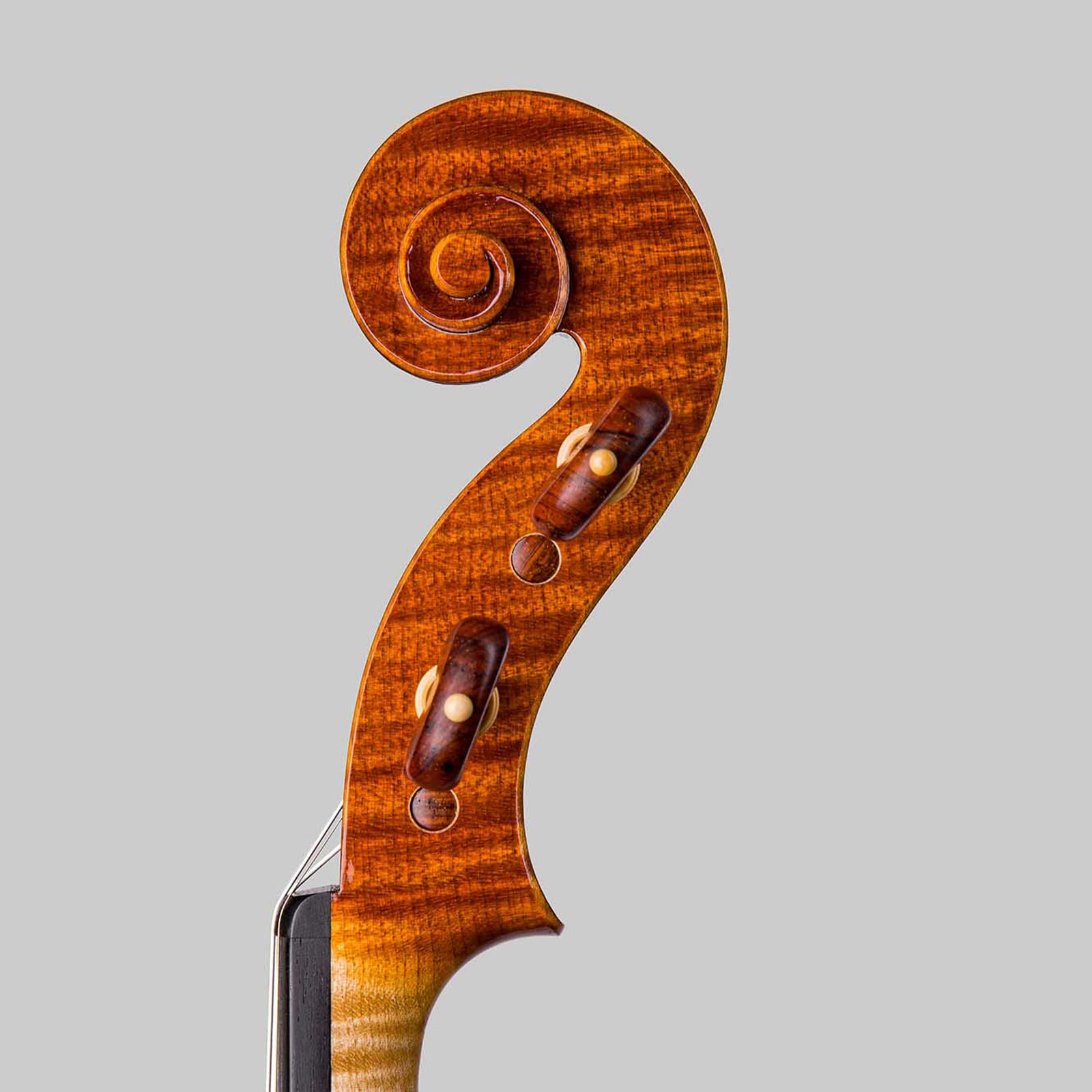 Marco Cargnelutti, Udine Italy 2024, Guarneri ’del Gesù 'Leduc' Violin
