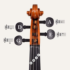 For all your string instrument needs - Violin, Viola, Cellos & Bass