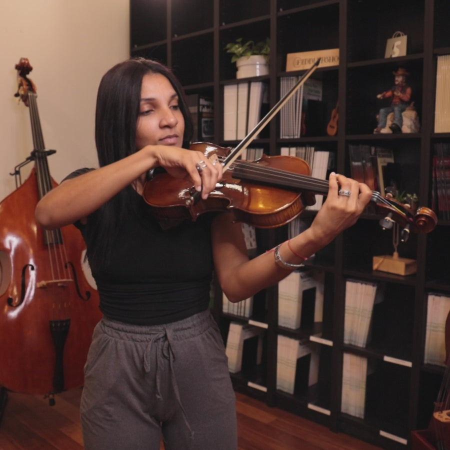 Fiddlerman Master Violin Outfit