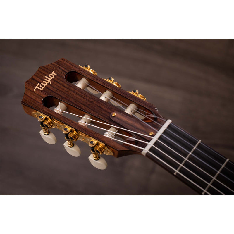 Taylor Jason Mraz Signature Model JMSM Indian Rosewood Acoustic-Electr