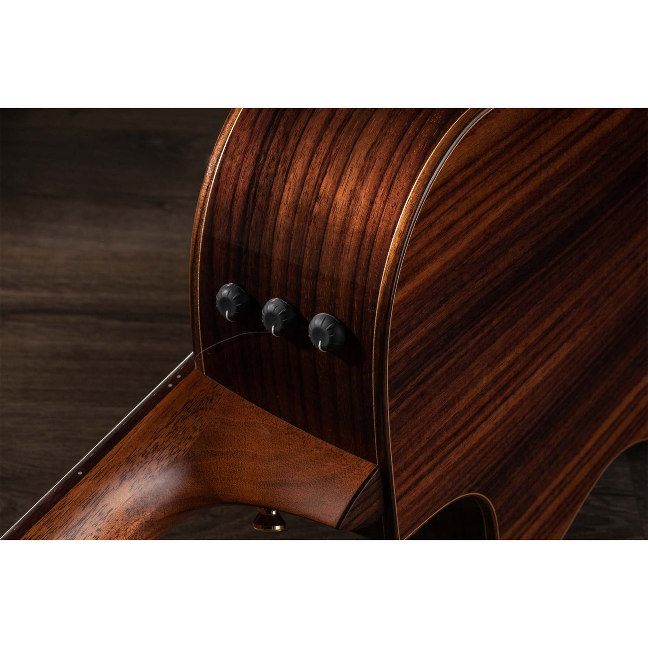 Taylor Jason Mraz Signature Model JMSM Indian Rosewood Acoustic-Electr