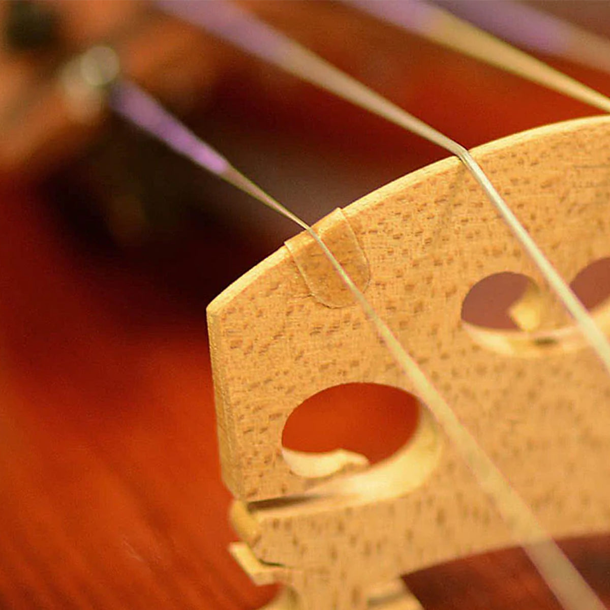 Best Viola Bridges for Sale | Fiddlershop