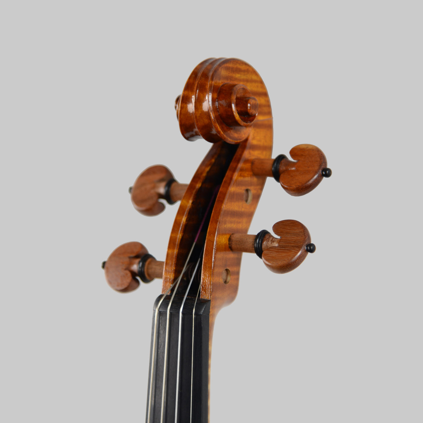 Francesco Pierotti Fine Italian Violin 2020