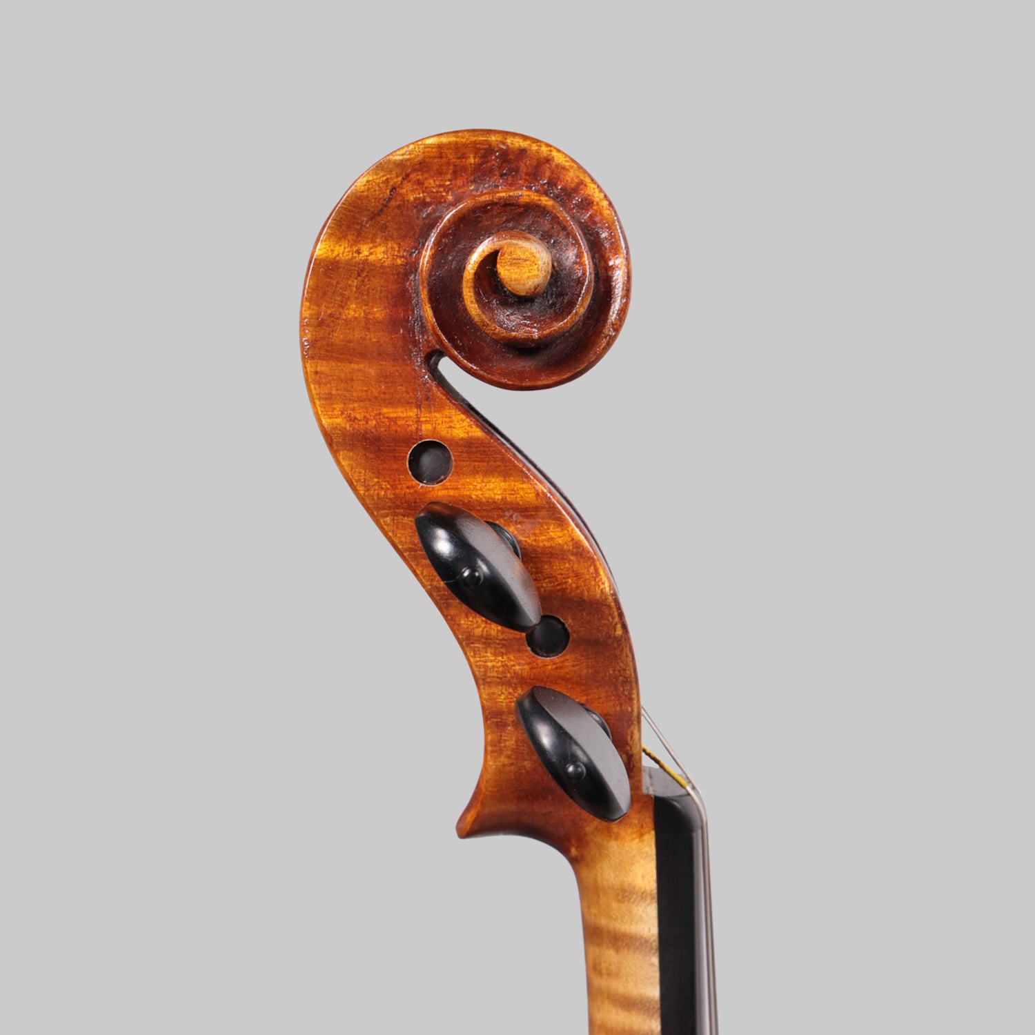 Martin Sheridan Guarneri "Sauret" Violin 2020