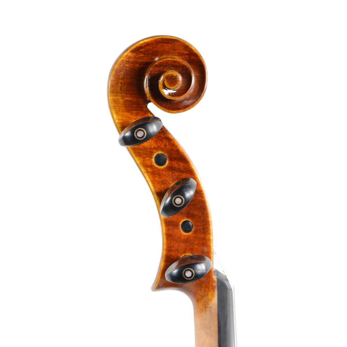 Fiddlerman Master 5-String Violin Outfit