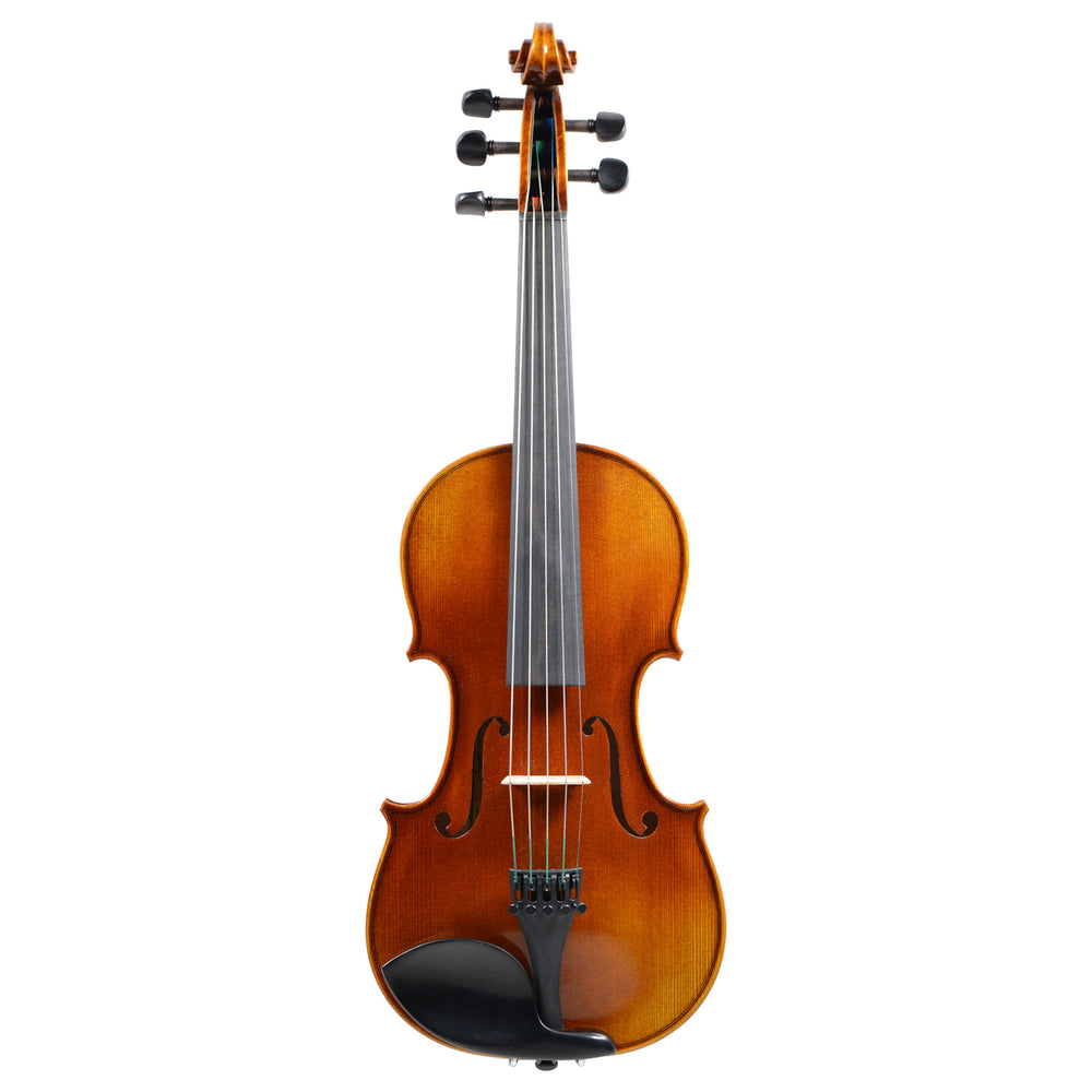 Fiddlerman Master 5-String Violin Outfit